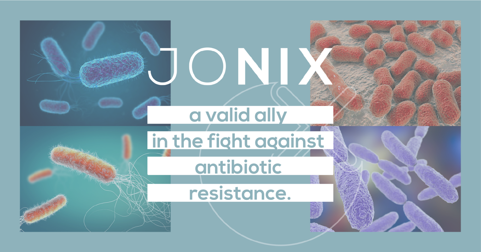 Multidrug-resistant bacteria a health and safety problem